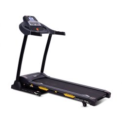 Everlast Trail Treadmill | Reviews Online | PriceCheck