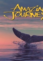 Deals on Amazing Journeys DVD | Compare Prices & Shop Online | PriceCheck