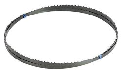 Bandsaw Blade Basato 1 6MM X 6TPI Blade Length 1490MM Product Range ...